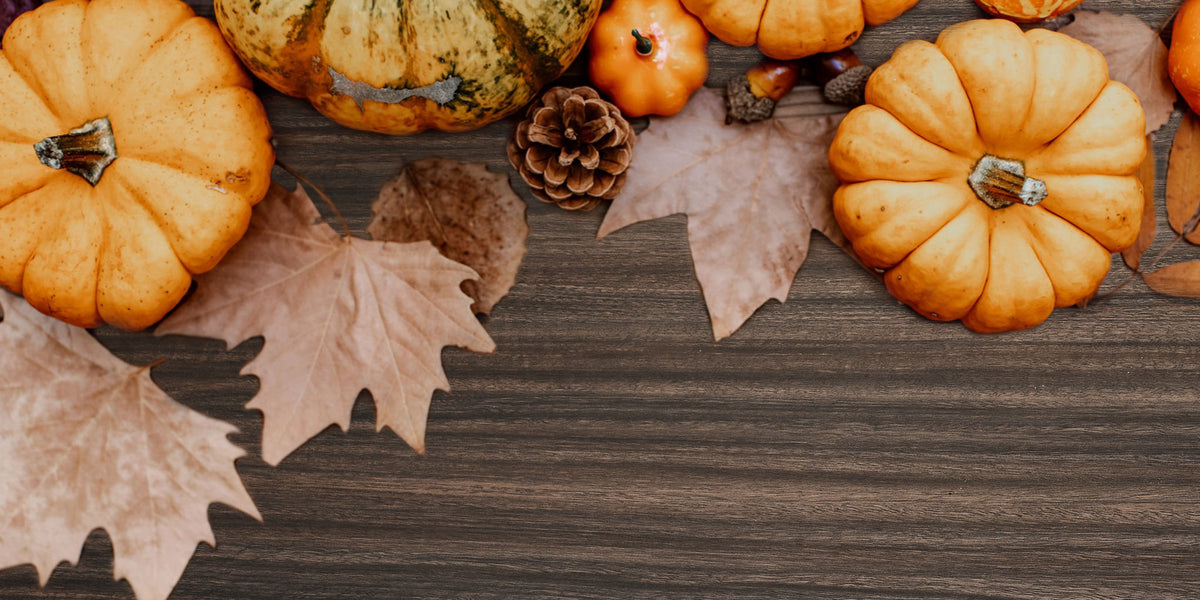 A Perfect Color to Design an Autumn Vibe—Eucalyptus – kaboondesk